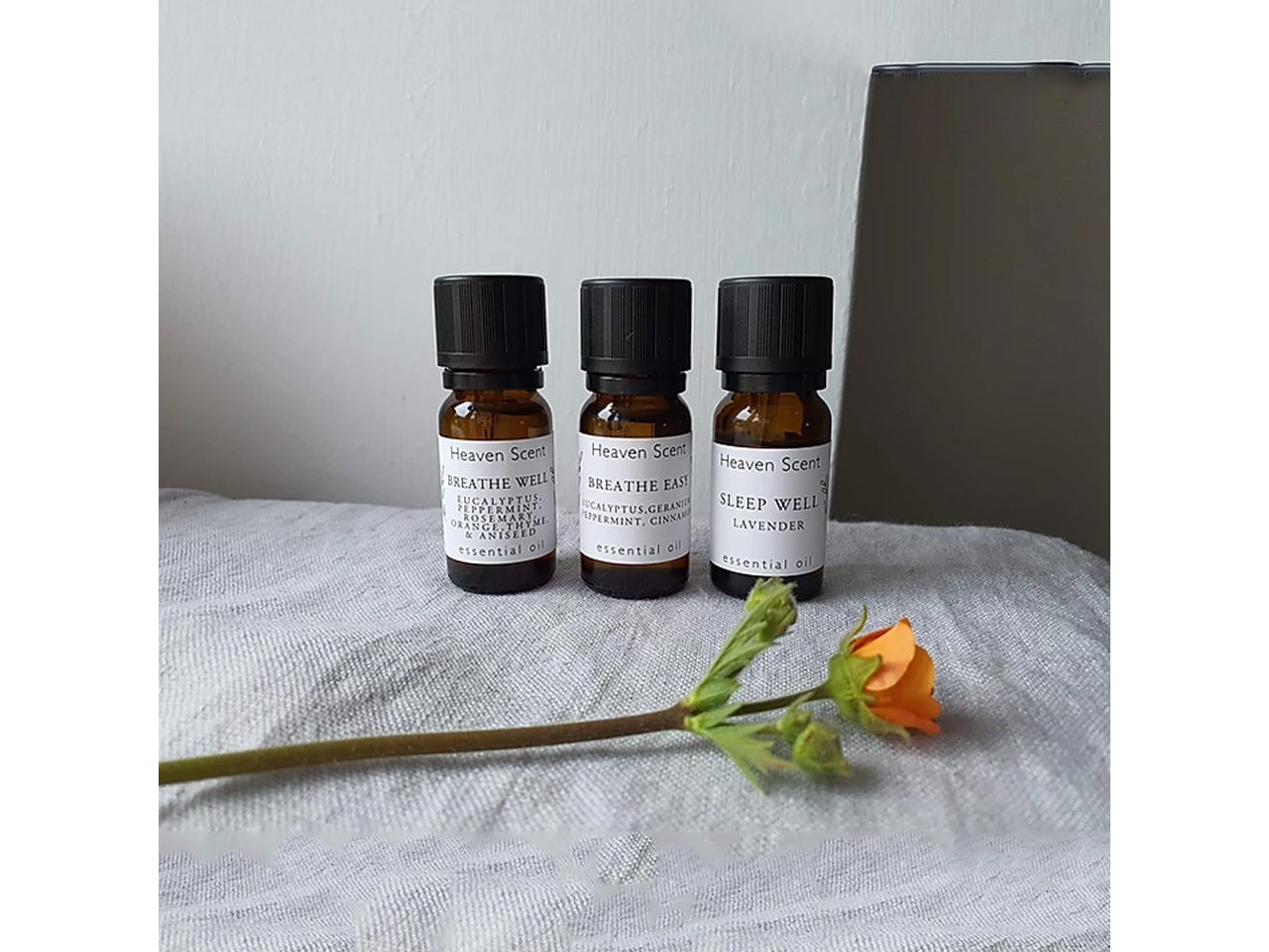 Heaven Scent Fragrance Oils Tribal Voice Plymouth Torquay Body heaven-scent-fragrance-oils-tribal-voice-plymouth-torquay-body